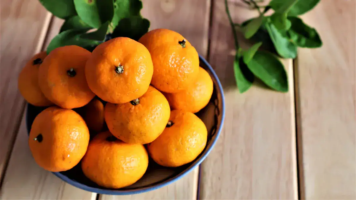 Types Of Clementines: Varieties & Sweet Citrus Guide